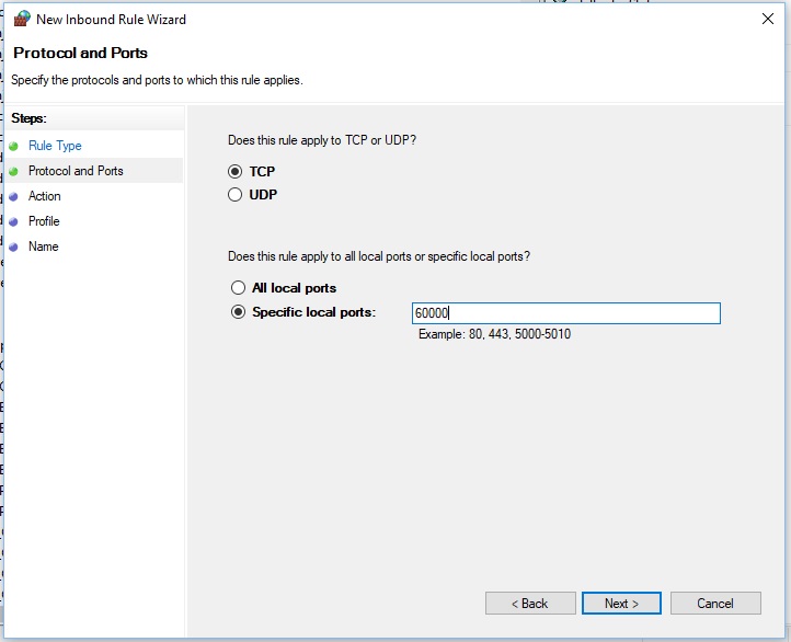 Server not starting: port already in use by another program, please ...